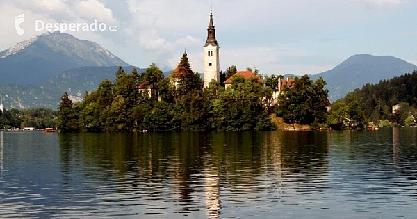 Bledské jezero je přírodní skvost severozápadu dnešního Slovinska ...
